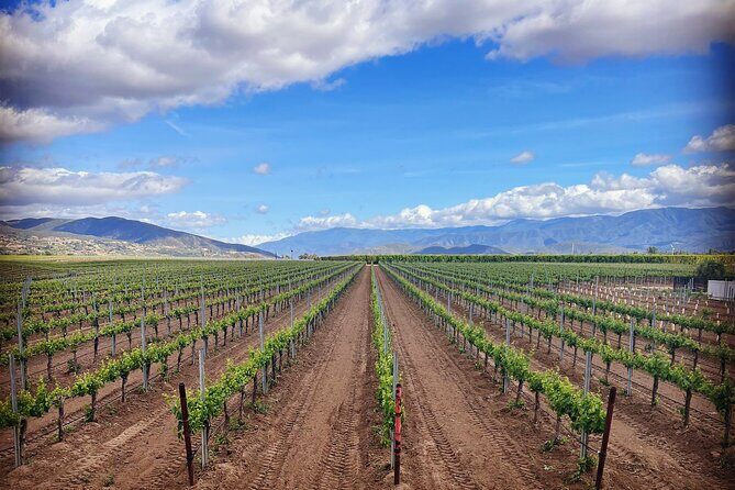 Private Temecula Wine Tour from Murrieta - Callaway Vineyard and Winery: The Grand Finale