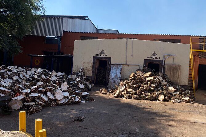 Private Tequila Tour - An In-Depth Look at the Tour Itself