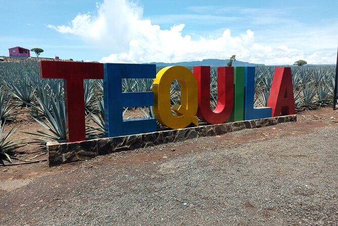 Private Tequila Tour in Guadalajara - An In-Depth Look at the Private Tequila Tour in Guadalajara