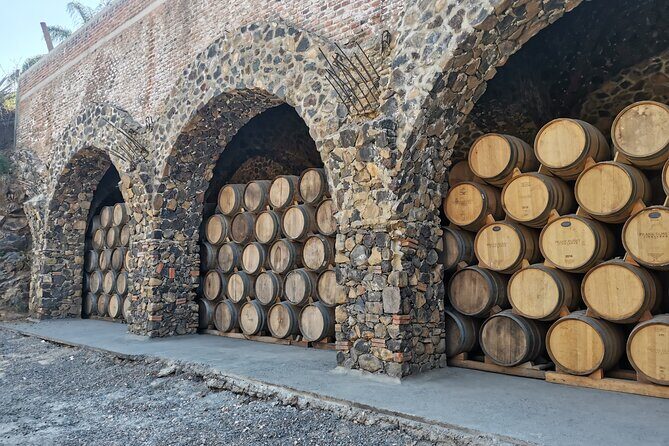 PRIVATE Tequila Valleys Tour: Pyramids, Volcanoes, Agaves&Tequila - Exploring the Itinerary in Detail