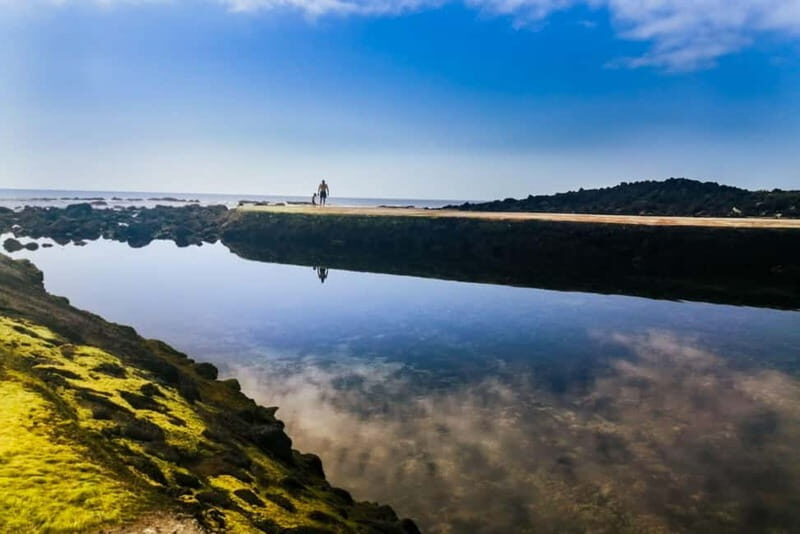 Private Terceira Island Half-Day: Enchanted Bays + tasting - Final Thoughts