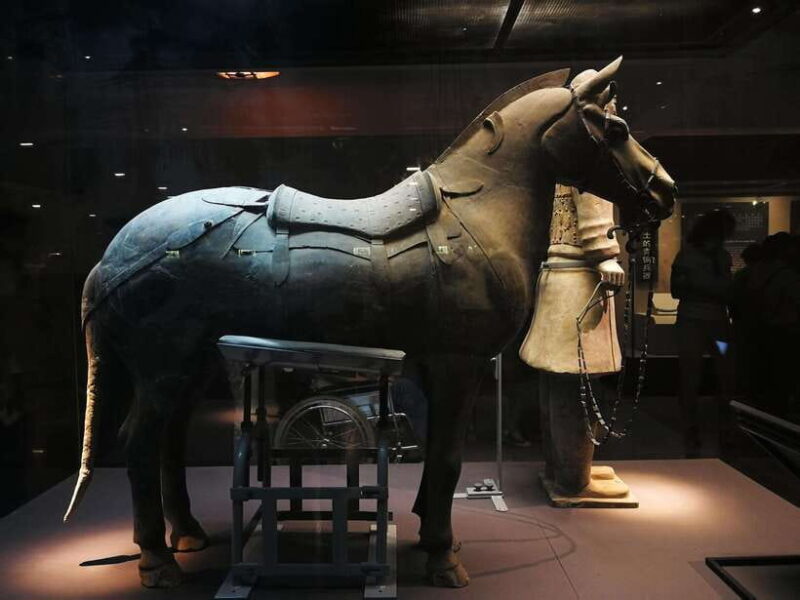 Private Terracotta Army 5-Hour Tour with Options - The Itinerary Breakdown