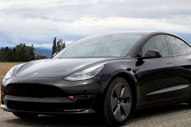 Private Tesla Transfer from Phoenix Airport to all Hotels - The Vehicle and the Experience
