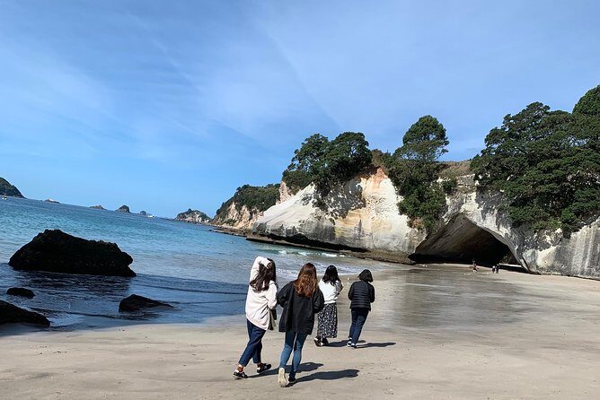 Private The Coromandel Tour - Auckland Tour House - Weather and Cancellation Policy