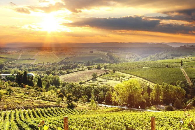 Private The Essence of Tuscany: Chianti Classico, Montalcino, Montepulciano - Key Points