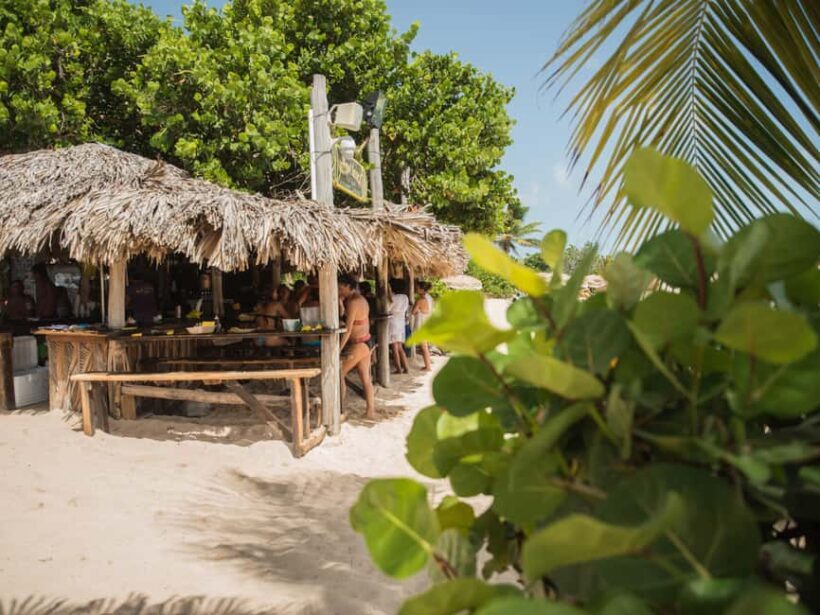 Private: The Great Barrier & Coral Garden Scuba Dive Tour - Practical Details and Value