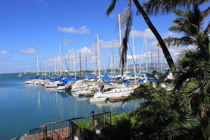 Private Tiki Bar Sunset Cruise in Honolulu - Analyzing the Experience: Value and Practicality