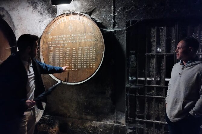 Private Tiles Workshop, Wine Tasting and Sesimbra Tour - Lisbon - Transportation and Logistics