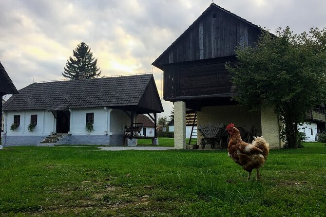 Private Tito's Village tour in Old-Timer Yugo car - A Vintage Journey through Tito’s Village in Croatia – What Travelers Can Expect