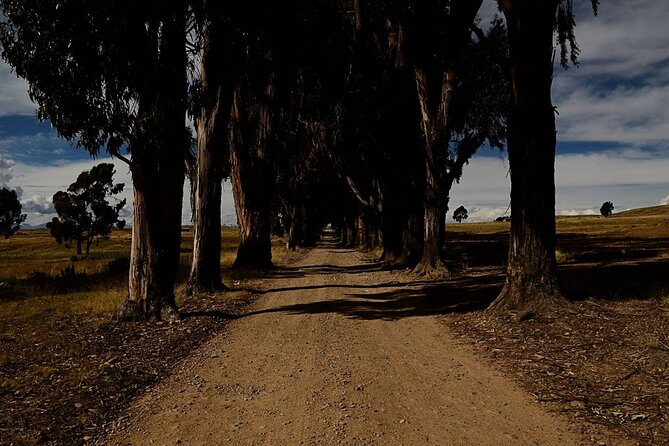 Private Tiwanaku and Titicaca Day Trip From La Paz - Lunch and Scenic Views of Lake Titicaca