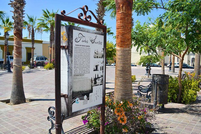 Private Todos Santos Jeep - Transport & Comfort