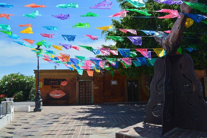 Private Todos Santos Jeep - Practical Tips