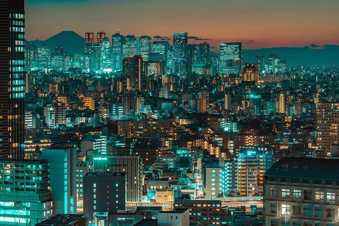 Private Tokyo City Tour With English Speaking Driver - Inclusions