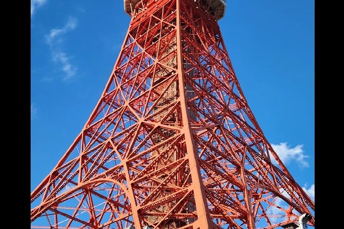 Private Tokyo City Tour With English Speaking Driver - Customer Experience