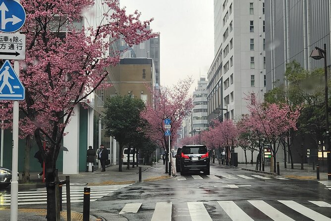 Private Tokyo City Tour With English Speaking Guide - Key Points