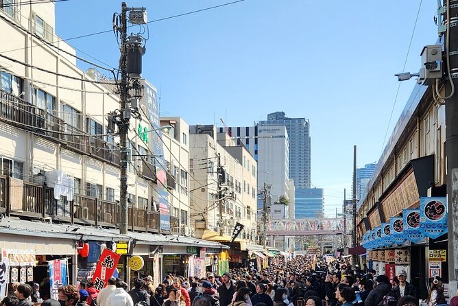 Private Tokyo City Tour With English Speaking Guide - Pickup and Accessibility