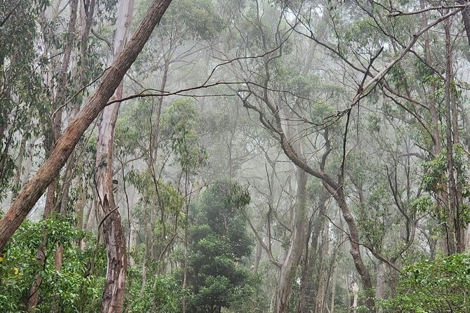 Private Tokyo City Tour With English Speaking Guide - Tokyo Sky Tree Tour