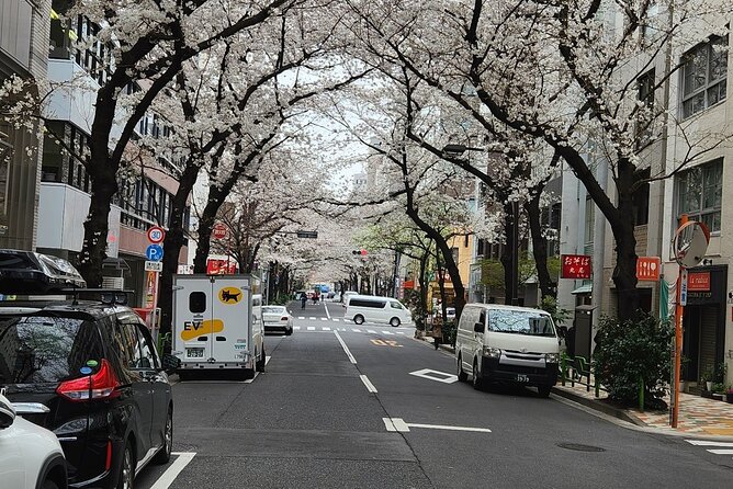 Private Tokyo City Tour With English Speaking Guide - Shibuya Crossing Experience