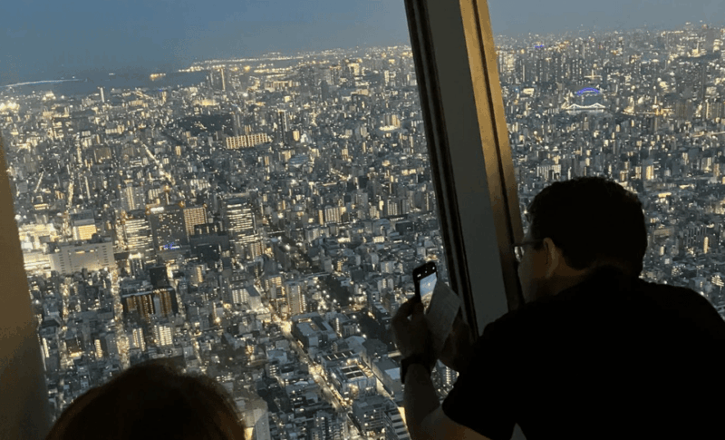 Private Tokyo Night Tour - Experience Highlights