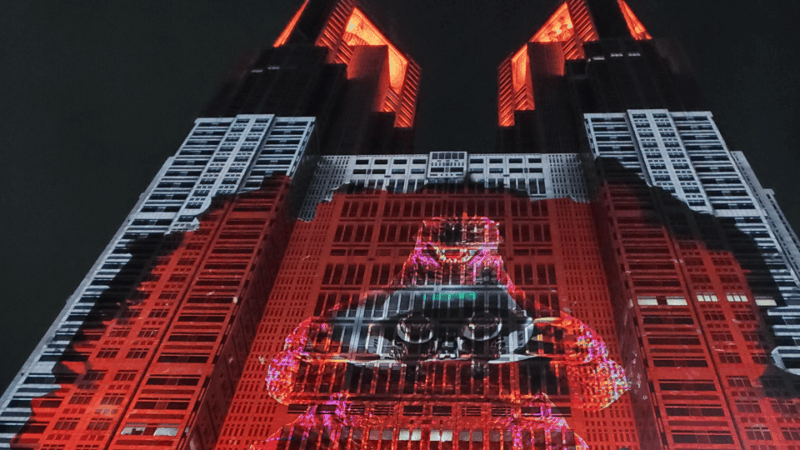 Private Tokyo Night Tour - Itinerary and Sightseeing Options