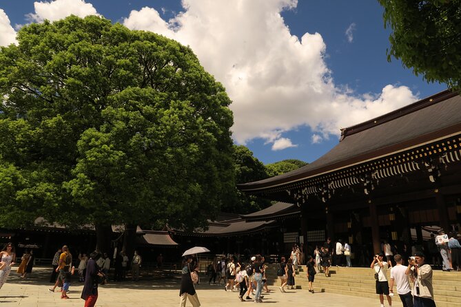 Private Tokyo Tour by Subway W/Licensed English-Speaking Guide - Booking and Availability