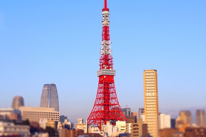 Private Tokyo Tour - up to 9 Travelers - Itinerary Flexibility