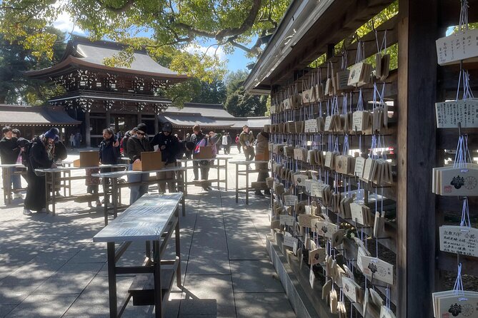 Private Tokyo Tour With Local Guide - Praise for the Local Tour Guides