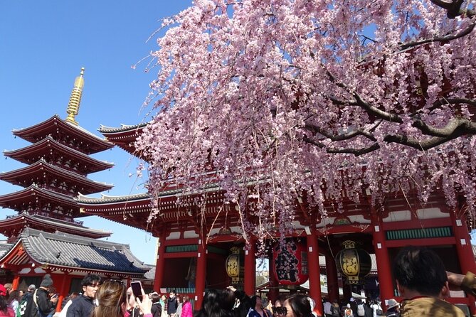 Private Tokyo With Exceptional Guide Tailored to Your Needs - Pickup Information