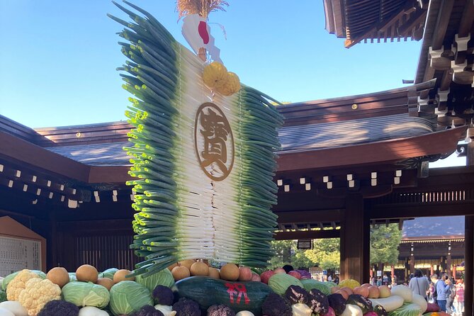 Private Tokyo With Exceptional Guide Tailored to Your Needs - Health and Accessibility