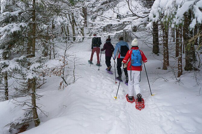 Private Tongariro Overnight Snowshoeing Tour - Key Points