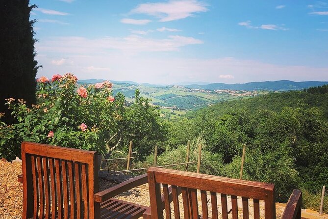 Private Top Brunello Montalcino Wine Tour & Food Pairing Session - Logistics and Accessibility