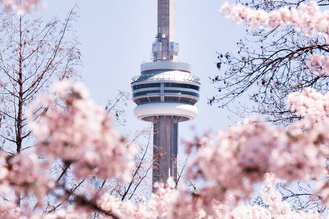 Private Toronto City Tour with Boat and CN Tower - Value and Pricing: Is It Worth It?