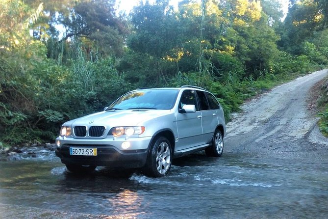 Private Tour 1-4 People Full Day Sete Cidades & Lagoa Do Fogo - Tour Overview and Highlights