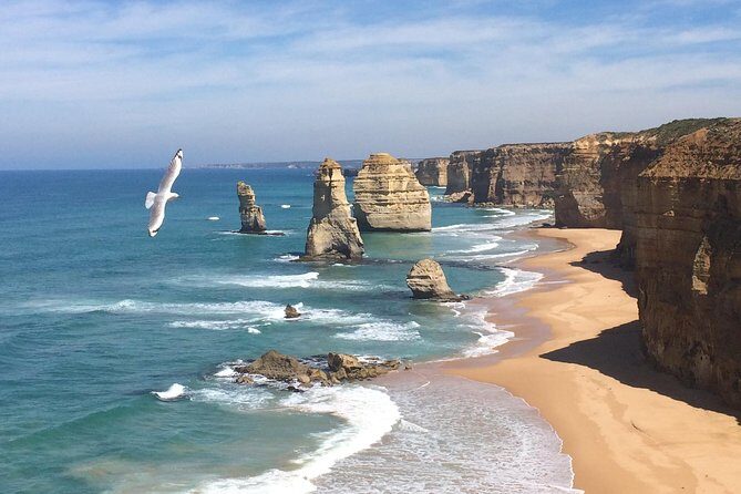 [PRIVATE TOUR] 12 Apostles | Great Ocean Road | Day Trip - An In-Depth Look at the Tour Itinerary
