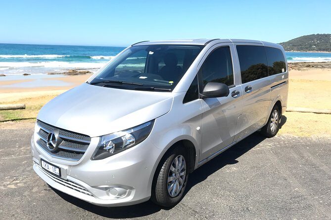 [PRIVATE TOUR] 12 Apostles | Great Ocean Road | Day Trip - What the Reviews Say: Authentic Feedback