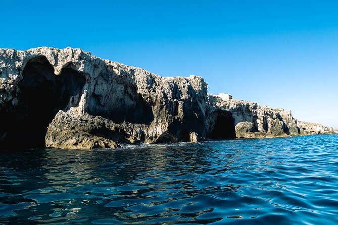 Private Tour - Highlights