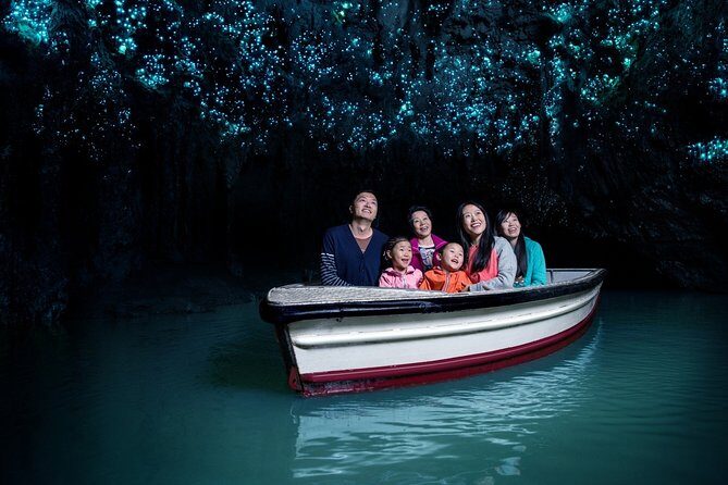 Private Tour [2 Days]: Auckland to Waitomo Caves, Rotorua, Te Puia & Wai-O-Tapu - Key Points