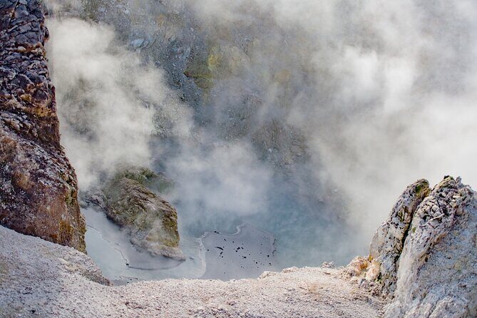 Private Tour [2 Days]: Auckland to Waitomo Caves, Rotorua, Te Puia & Wai-O-Tapu - Who Should Consider This Tour?