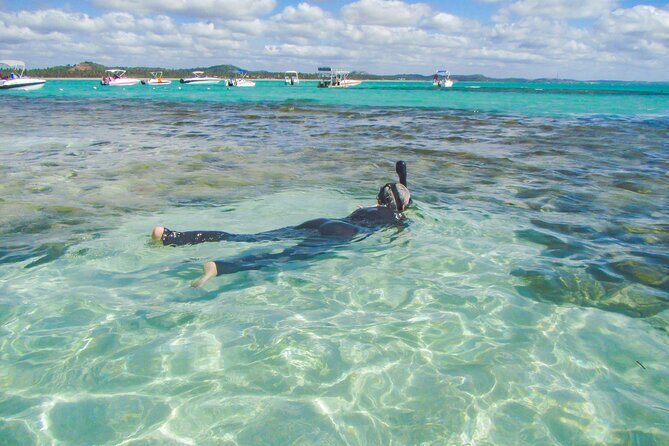Private Tour 3 Island Snorkeling Delight from St. Maarten - Who Will Love This Tour?