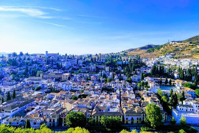 Private Tour: 4 Cultures, Granada in Depth - Customer Reviews and Memorable Moments
