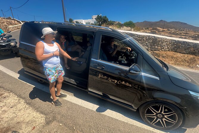 Private Tour- 4 Hours Mykonos Island - Customer Reviews