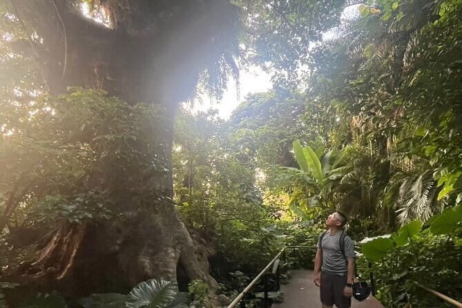 Private tour: Afternoon cycling with Spectacular Views - Practical Details and Tips