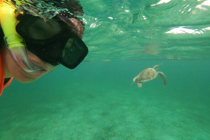 Private Tour: Akumal Marine Turtle Snorkeling and Cenote Adventure - First Stop: Akumal Marine Turtle Snorkeling