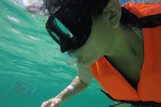 Private Tour: Akumal Marine Turtle Snorkeling and Cenote Adventure - What Past Travelers Say