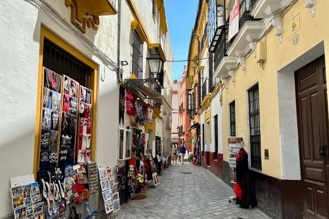 Private Tour Alcazar Seville Cathedral and Giralda Tower Climb - Overview of the Private Tour Experience