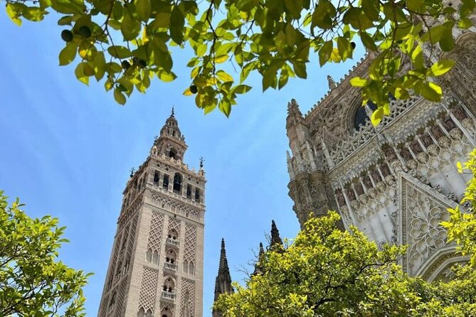 Private Tour Alcazar Seville Cathedral and Giralda Tower Climb - Traveler Experiences and Reviews