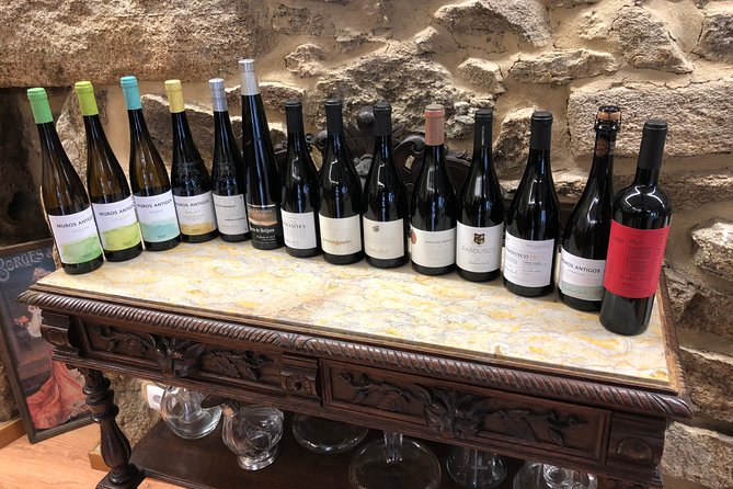 Private Tour Alvarinho (Melgaço and Monção) includes 3 wine tastings - Who Will Enjoy This Tour?