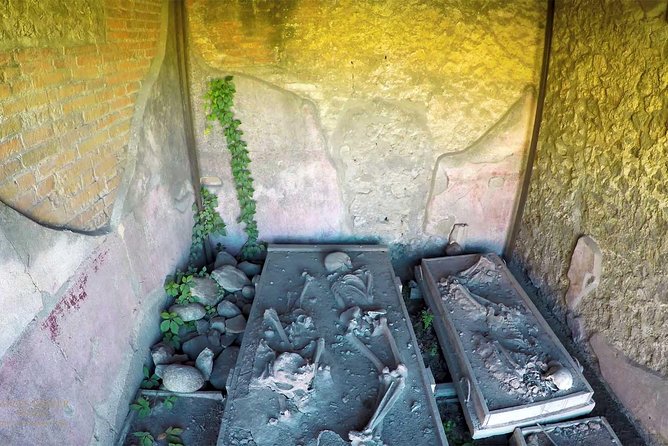 Private tour Amalfi Coast and Pompei: Positano and Sorrento - The Sum Up