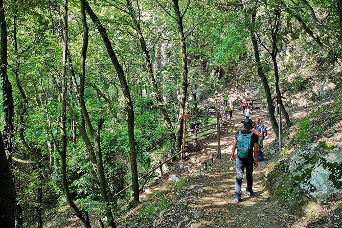 Private Tour: Amalfi Valle Delle Ferriere Nature Reserve Walking Tour - Exploring the Valle Delle Ferriere Natural Reserve
