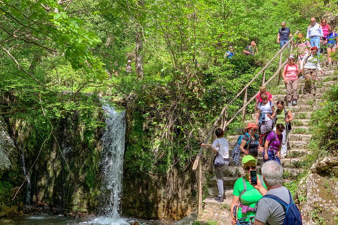 Private Tour: Amalfi Valle Delle Ferriere Nature Reserve Walking Tour - Discovering the Unique Flora and Fauna